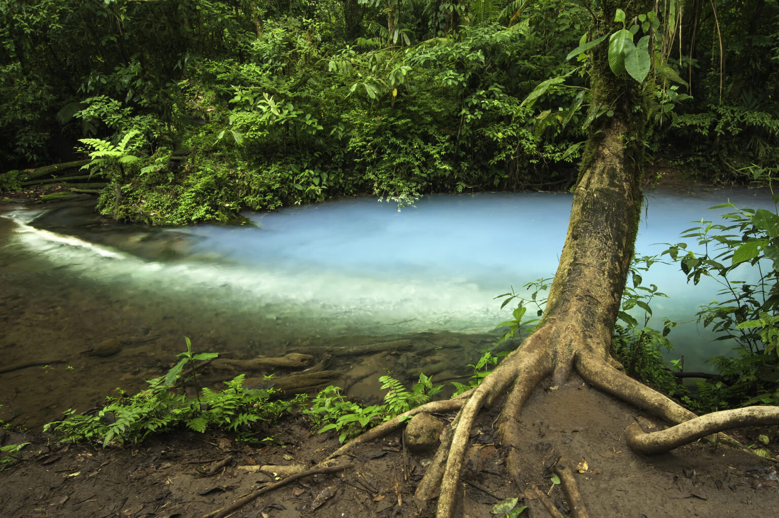 Guía Para Una Visita Inolvidable Al Parque Nacional Volcán Tenorio ...