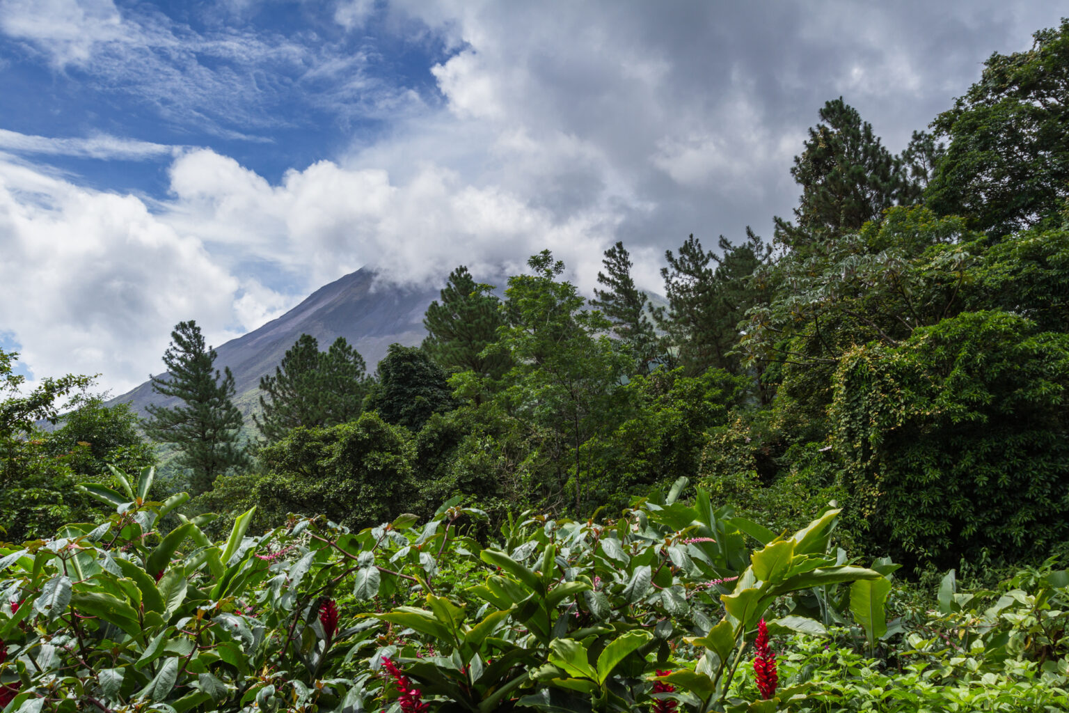 Cómo Explorar El Parque Nacional Volcán Arenal - Recorridos Y Aventuras ...