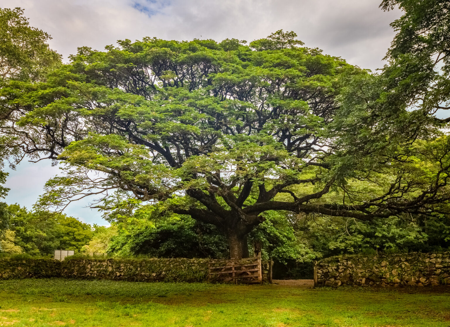 Guía Para Una Visita Inolvidable Al Parque Nacional Santa Rosa - VIAJAR ...