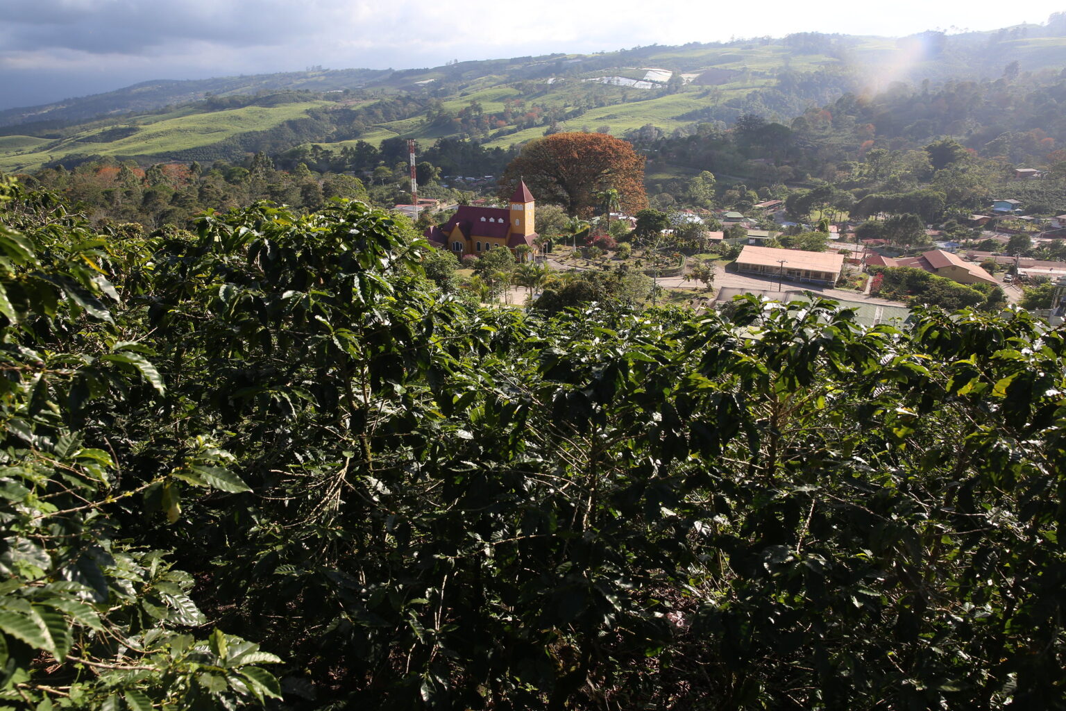 Guía para visitar el Volcán Turrialba, un parque natural impresionante ...