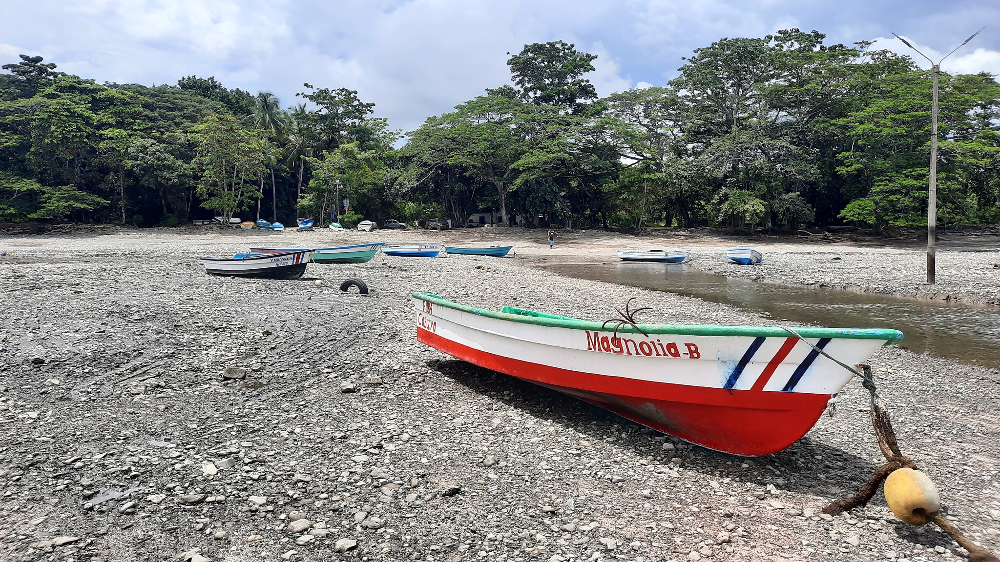 Visita la Reserva Natural Cabo Blanco, un paraíso Costarricense ...