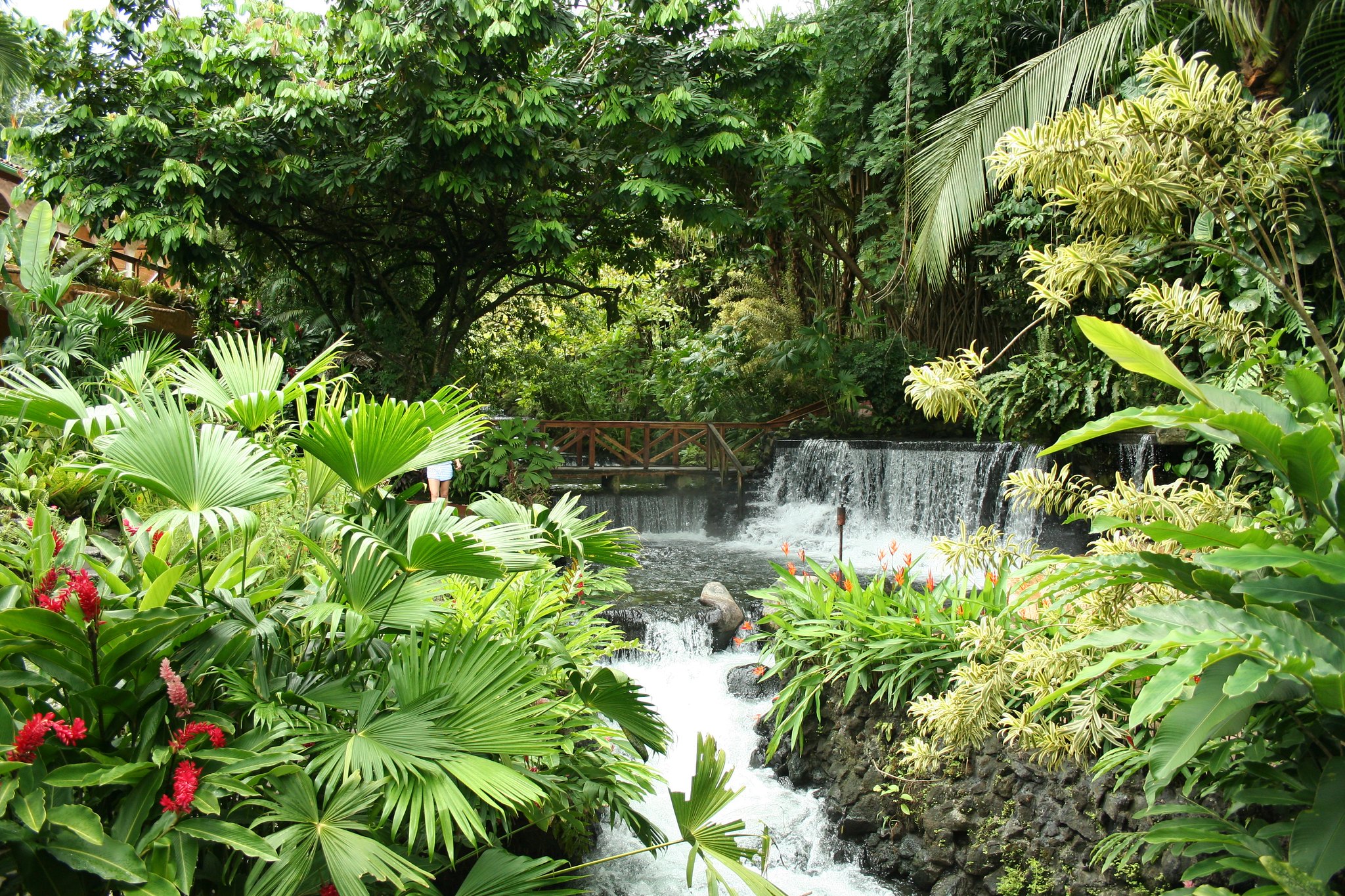 Disfruta de las Termas de Tabacón un paraíso por explorar - VIAJAR A ...