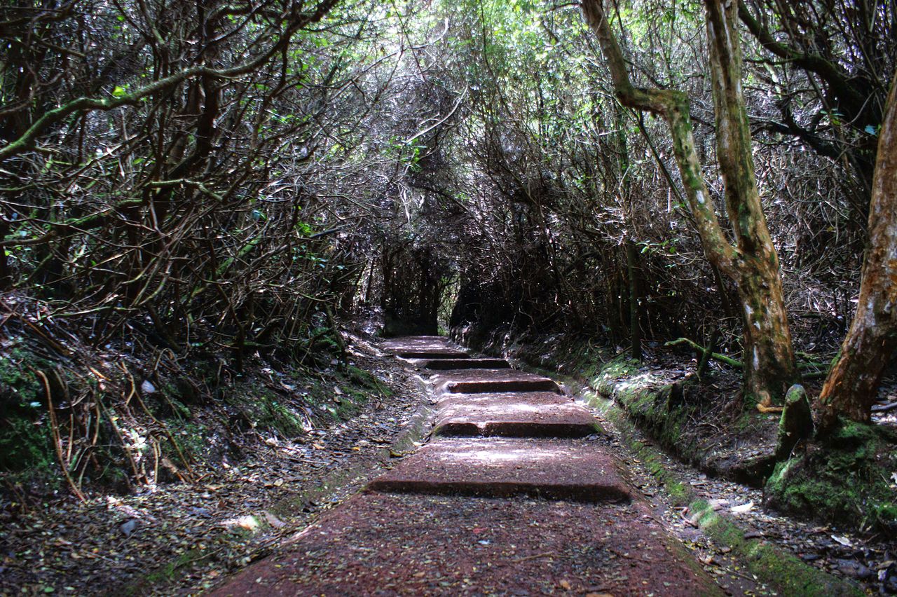 Parque Nacional Volcán Poás: Guía completa para visitar - VIAJAR A ...