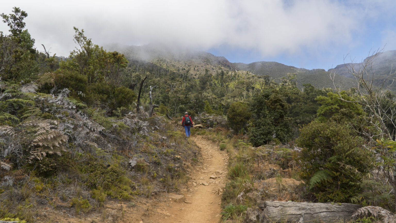 Guía Para Una Visita Inolvidable Al Parque Nacional Chirripó - VIAJAR A ...