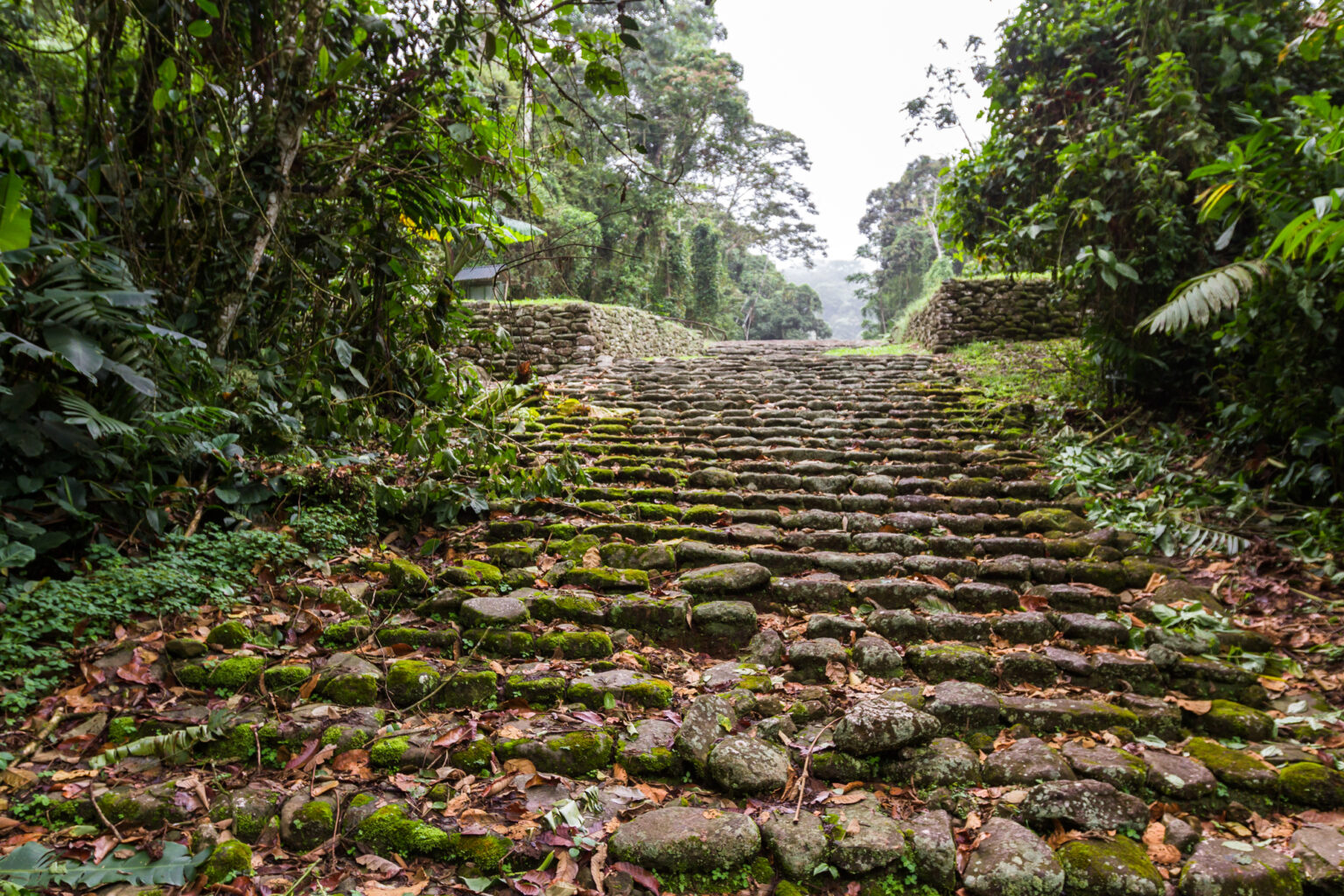 Guía Para Una Visita Inolvidable Al Monumento Nacional Guayabo - VIAJAR ...