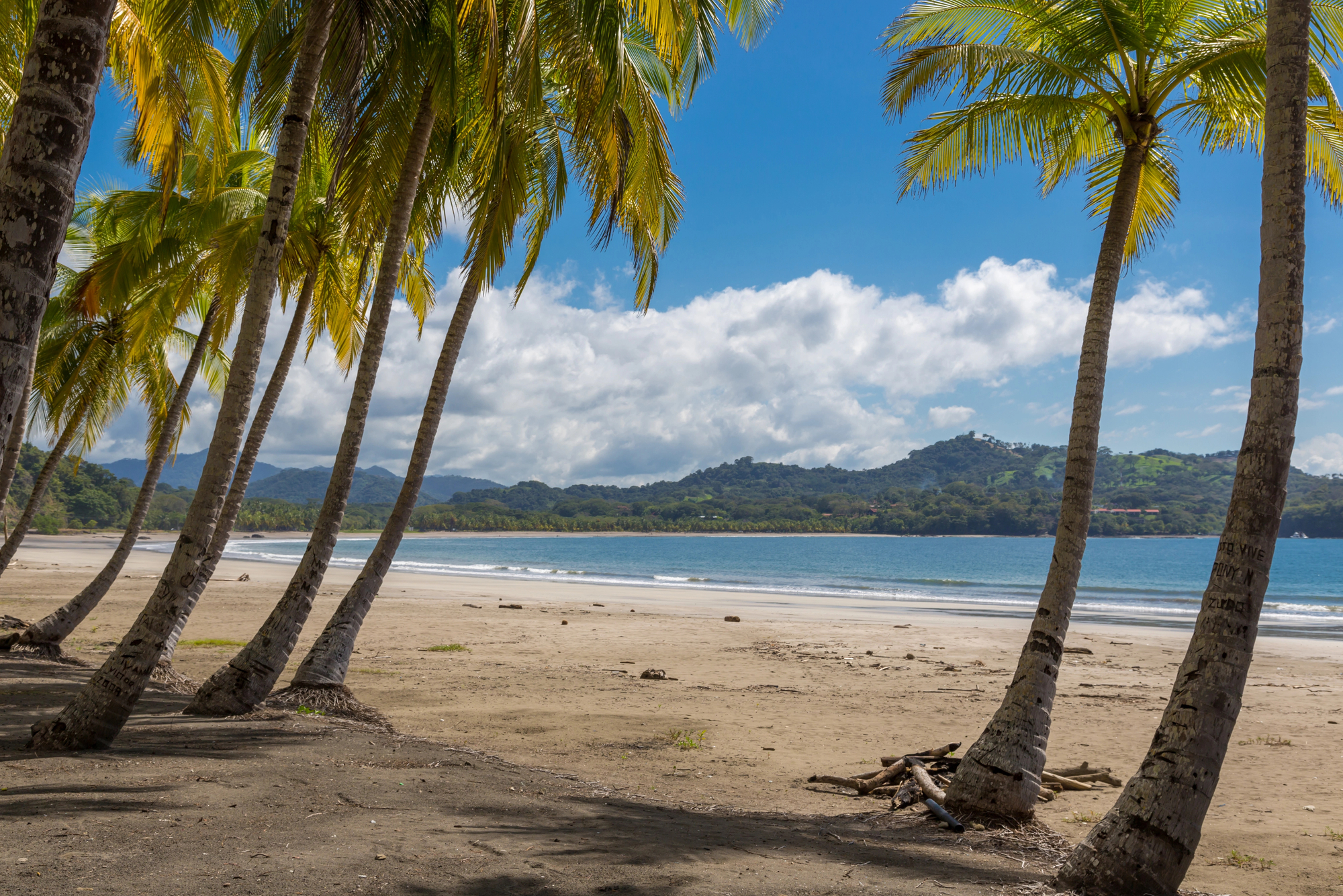 Descubre La Belleza Natural De La Playa Sámara - VIAJAR A COSTA RICA
