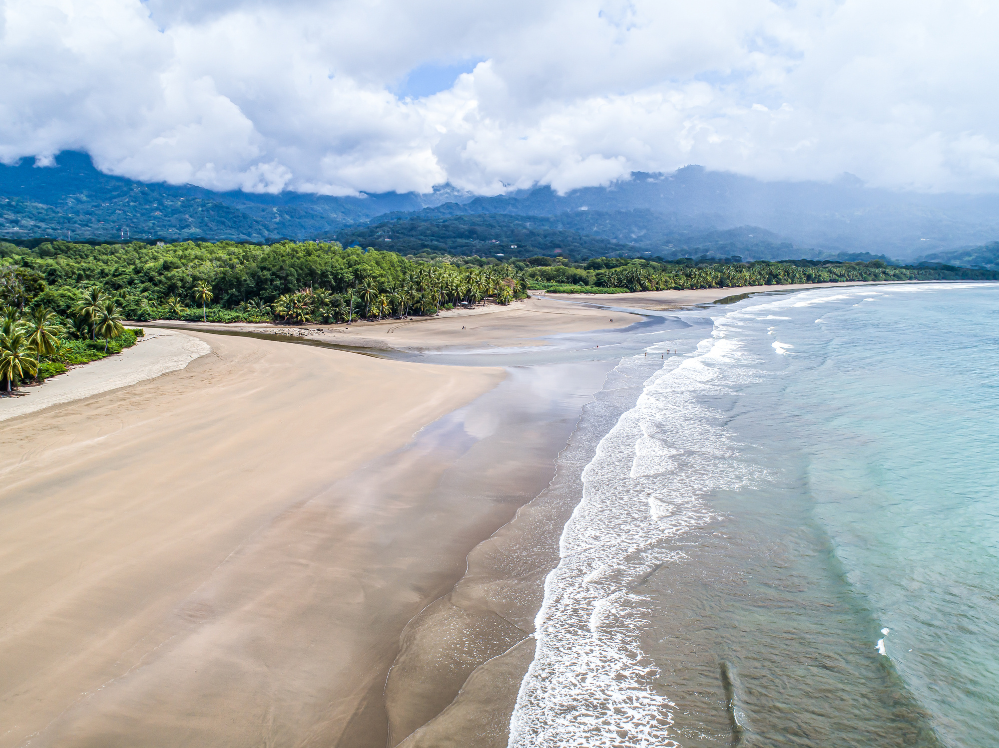 Guía Para Una Visita Inolvidable Al Parque Nacional Marino Ballena ...