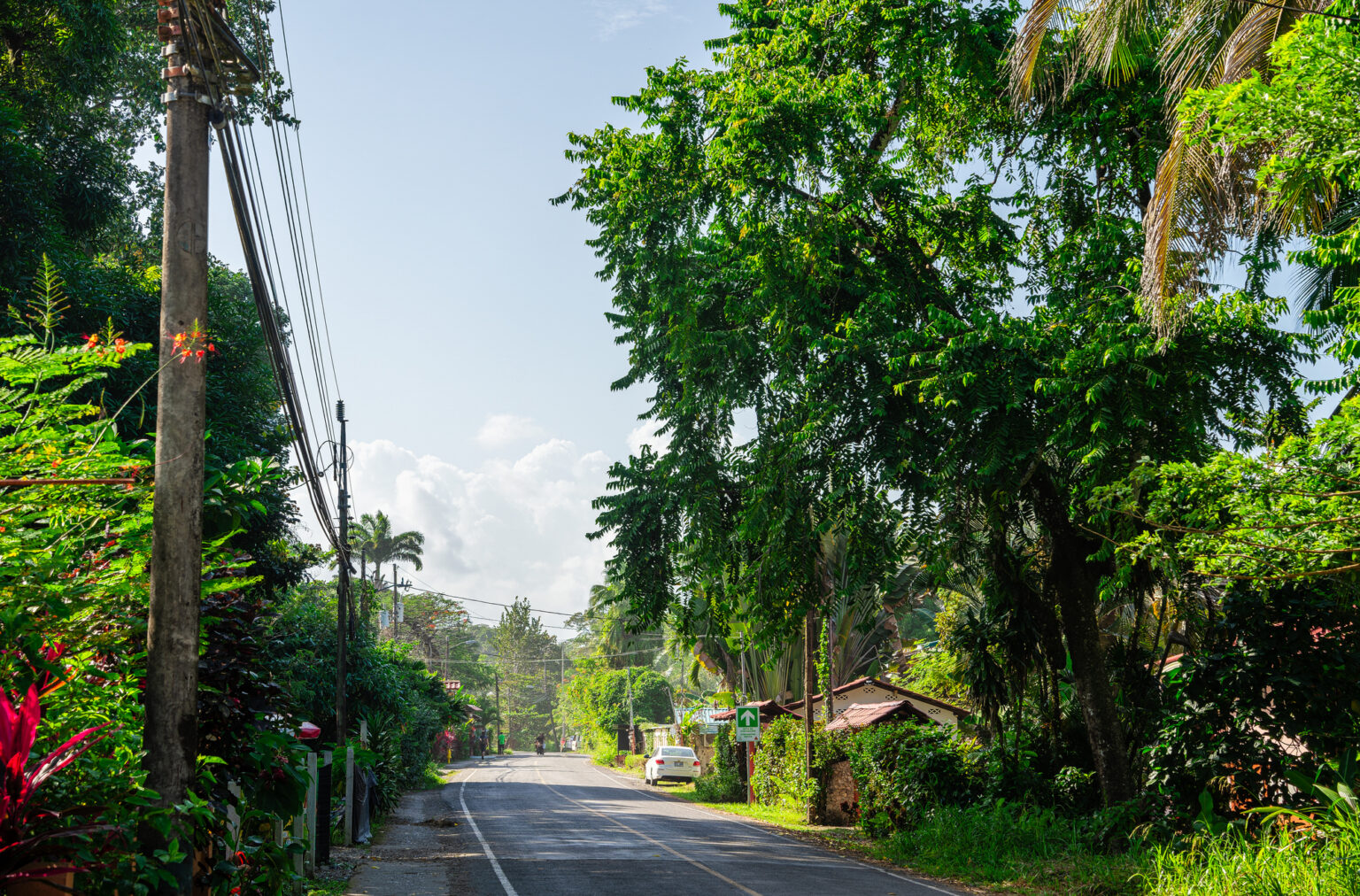 Explora qué ver y qué hacer en Limón, ciudad caribeña de Costa rica ...