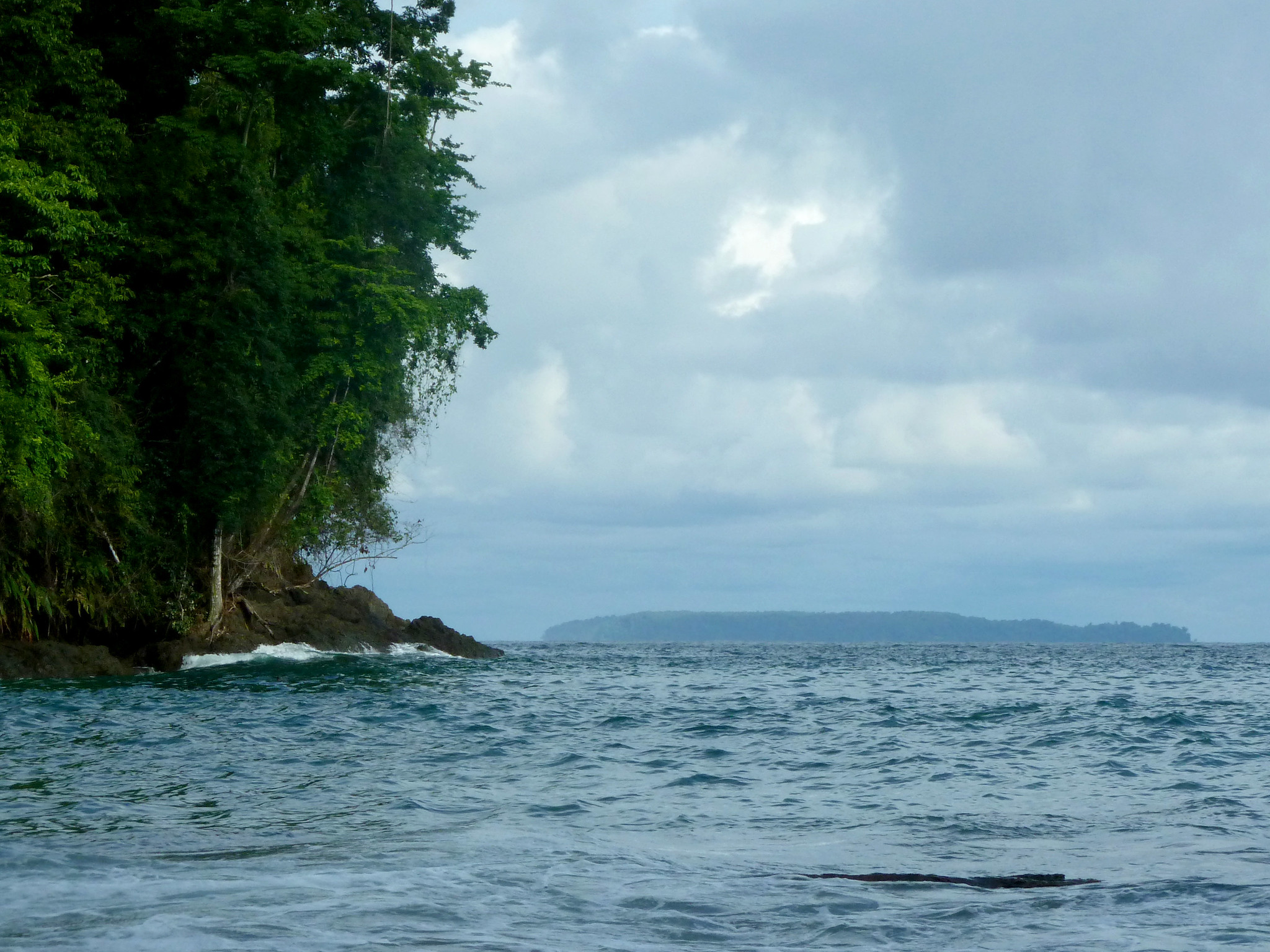 Isla del Caño: Guía Necesaria para tu Aventura en Costa Rica