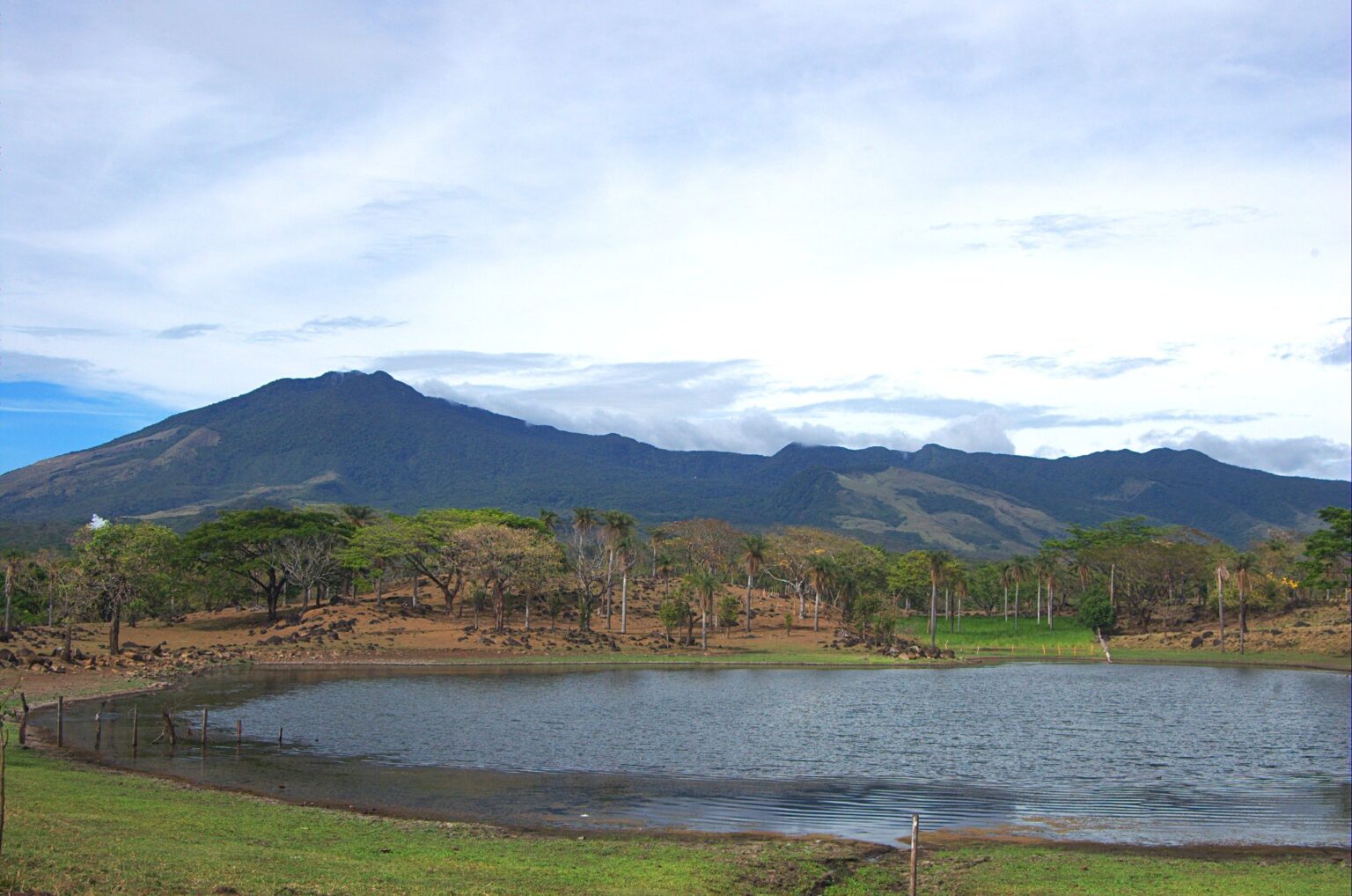 Guía Para Una Visita Inolvidable Al Parque Nacional Palo Verde - VIAJAR ...