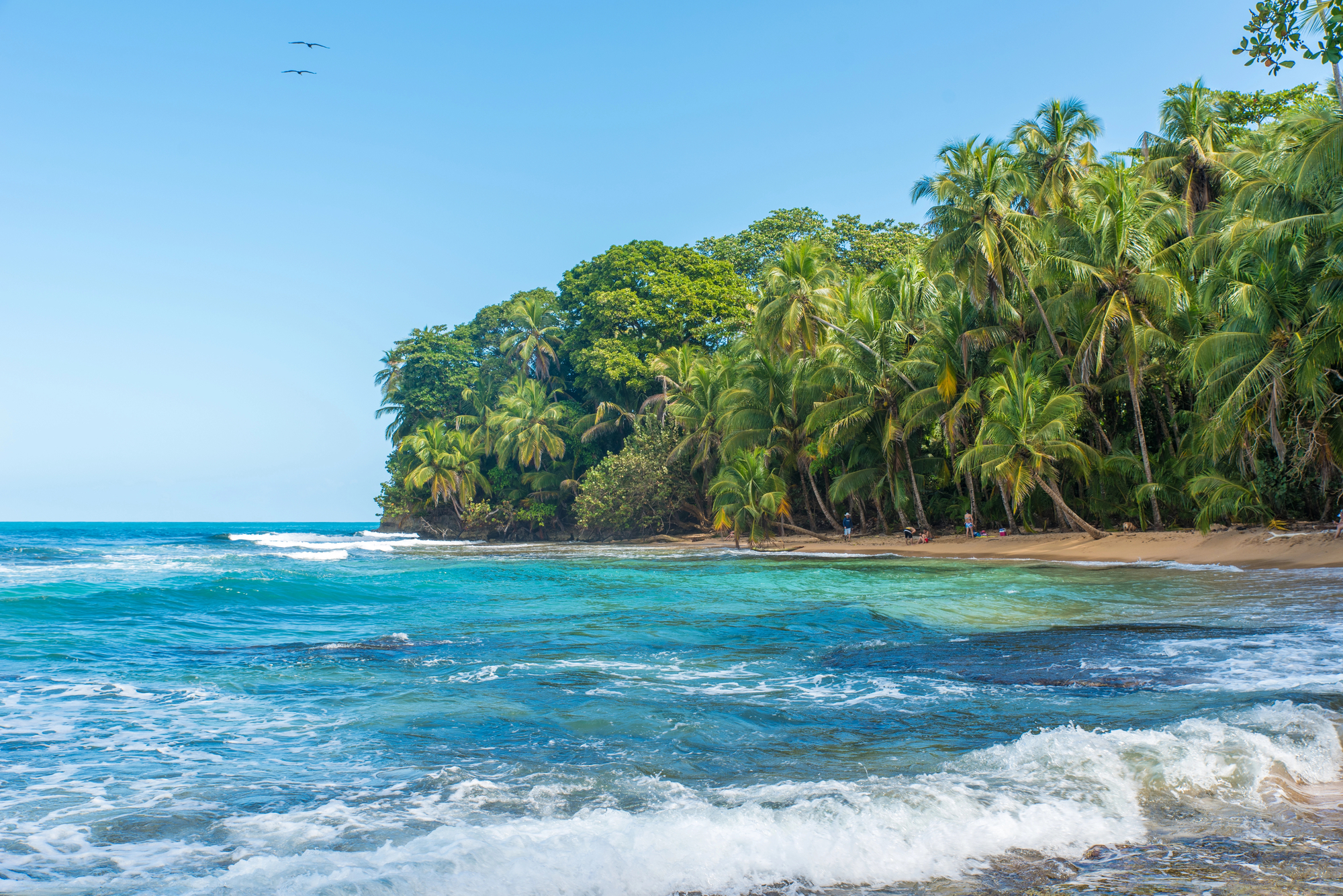 Descubre Qué Ver En El Refugio Nacional Gandoca Manzanillo