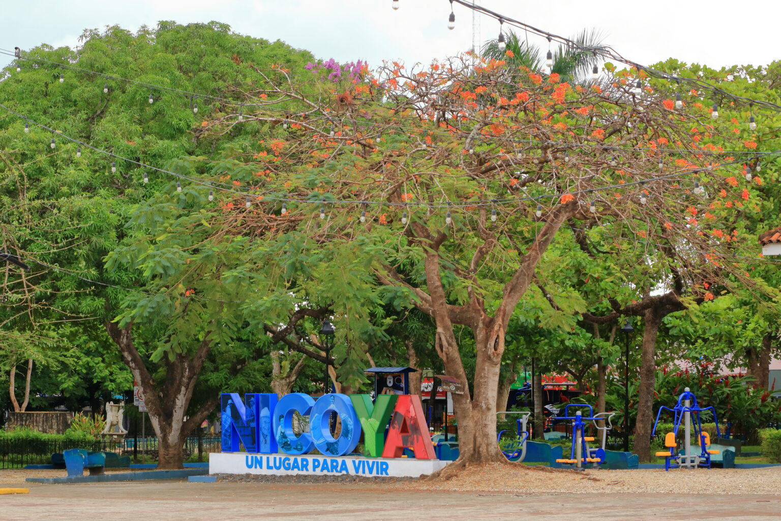 Visita la Península de Nicoya. Todo lo que debes visitar y hacer en ...