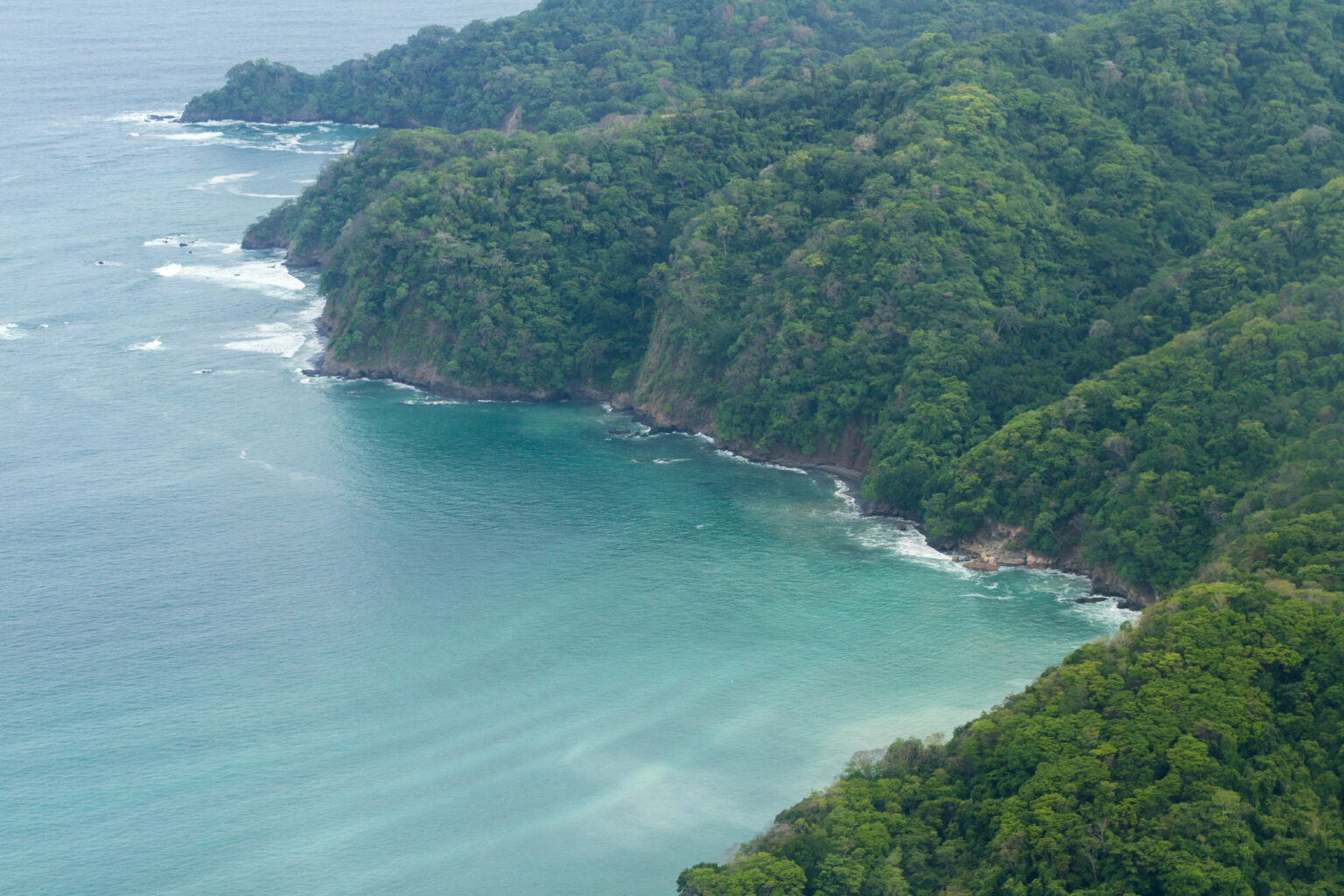 Guía Para Una Visita Inolvidable Al Parque Nacional Palo Verde - VIAJAR ...