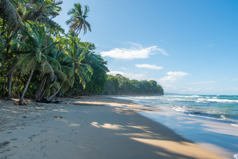 Playa Punta Uva qué hacer en esta joya tropical al sur de Cahuita