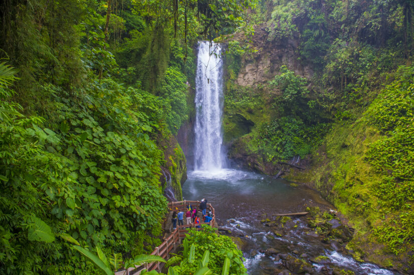 Guía Para Una Visita Inolvidable Al Parque Nacional Tortuguero - VIAJAR ...
