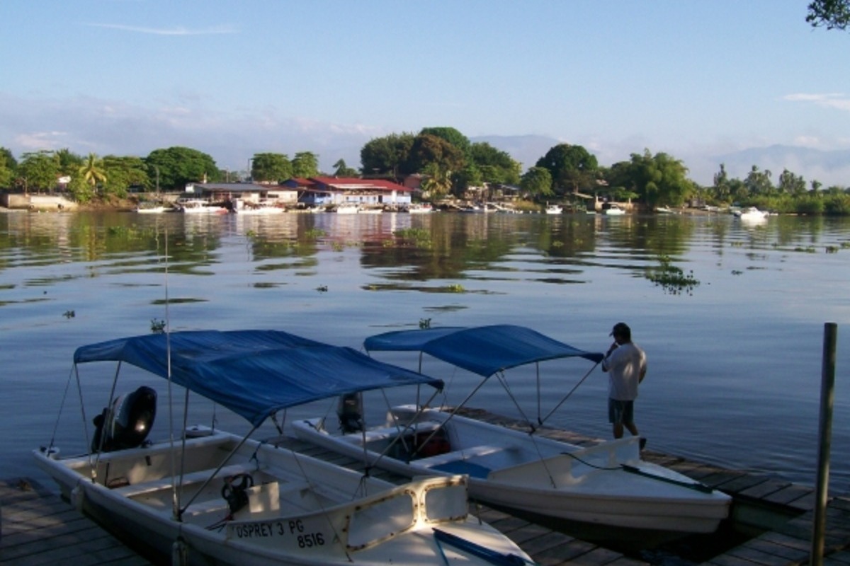 Río Sierpe: Aventura en el Corazón de los Manglares de Costa Rica